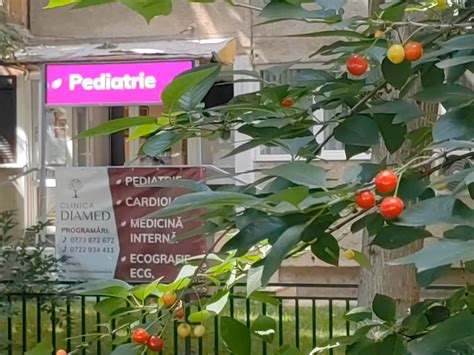 Clinica Diamed Consultatii Cu Bilet De Trimitere Prin
