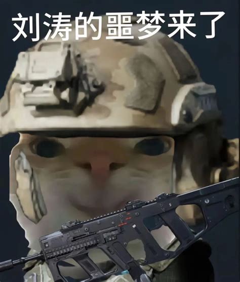 刘涛的噩梦来了”，全副武装的人物形象，透着紧张刺激的氛围 三角洲行动表情包｜猛攻！表情包图片动图 求表情网斗图从此不求人