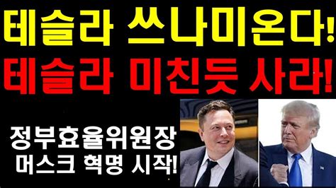 테슬라 쓰나미가 온다 미친듯이 테슬라 사라 머스크 정부효율위원장 공식임명 트럼프는 머스크에게 4가지를 요청했다 머스크발 혁신이 온다 테슬라에겐 엄청난 기회가 오고