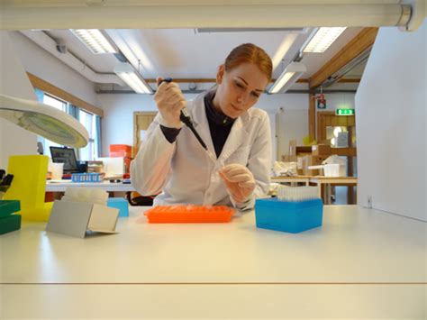 Grizzly Bear Corticosteroid Binding Globulin Cloning And Serum Protein Expression Fri Research