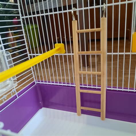 Prodam Kletko Za Ptice