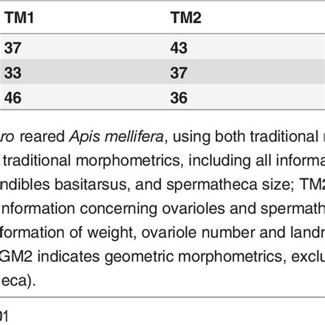 Caste Classification Results Download Table