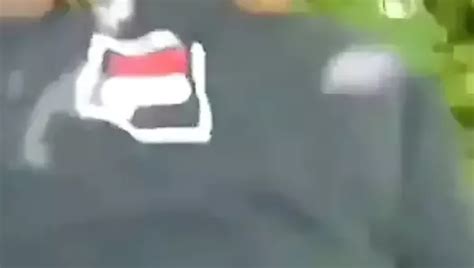 Png Bush Koap Xhamster