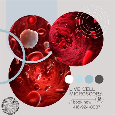 Learn About Live Cell Microscopy Atquantumparadigm Pure Simple And