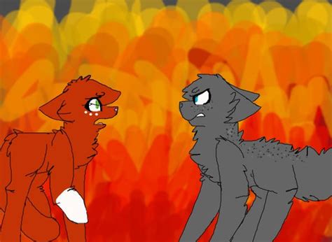 Ashfur And Squirrelflight By Fennecfawn On Deviantart
