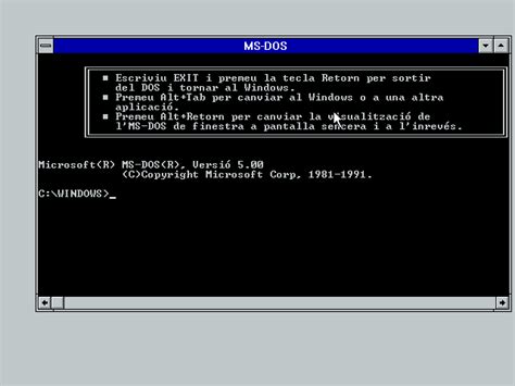 Microsoft Windows 3 1 Català disquets Microsoft Corporation Free Download Borrow and