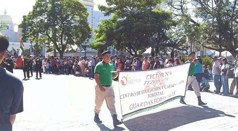 Educación Forest All Added A New Photo Educación Forest All