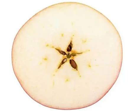 切开的苹果 花瓣网