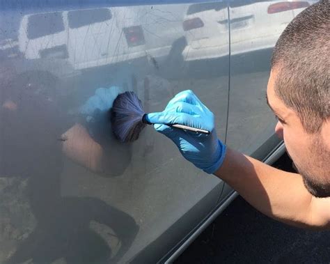 Top Forensic Science Classes For Aspiring Experts