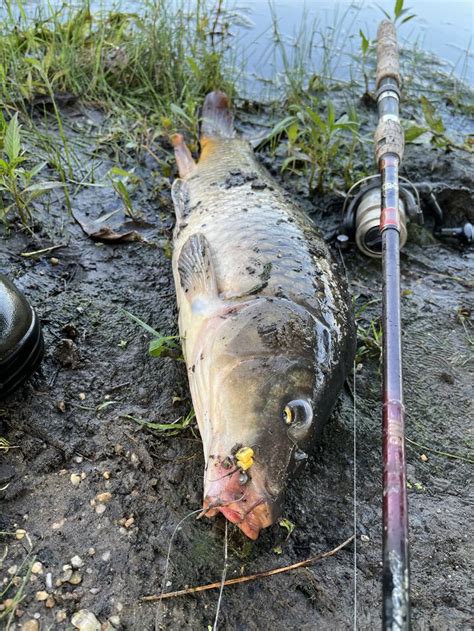 Last Cast 8 Lb 3 Oz Fish 🎣 Went Fishing 🎣 In 858 Degrees Dam Site 21