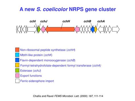 Ppt Greg Challis Department Of Chemistry Powerpoint Presentation