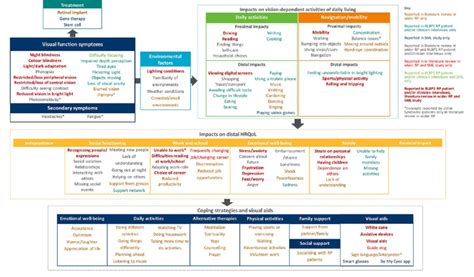 Conceptual Model Of Rplca Download Scientific Diagram