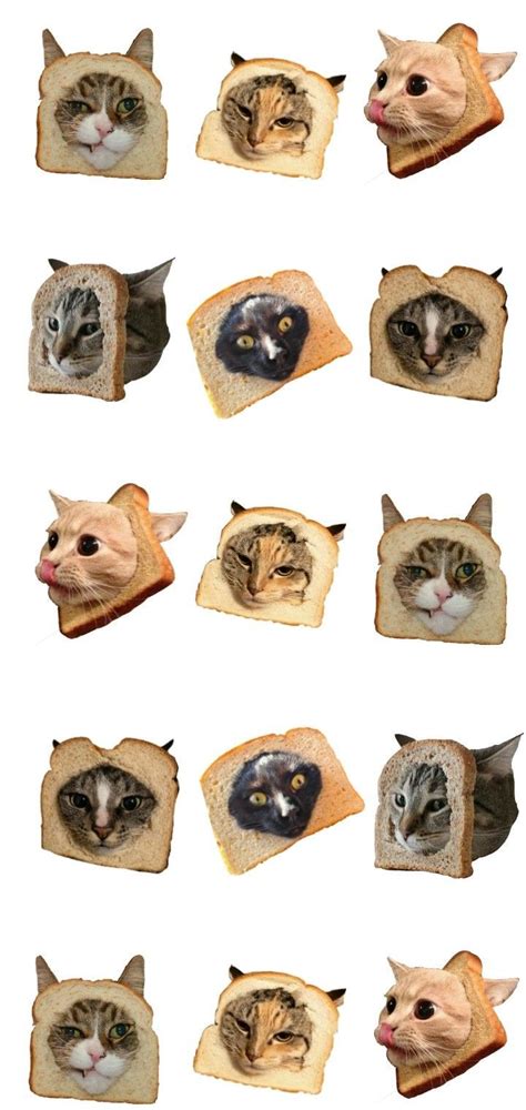 Breadcat Милые рисунки Стикер арт Рисунки