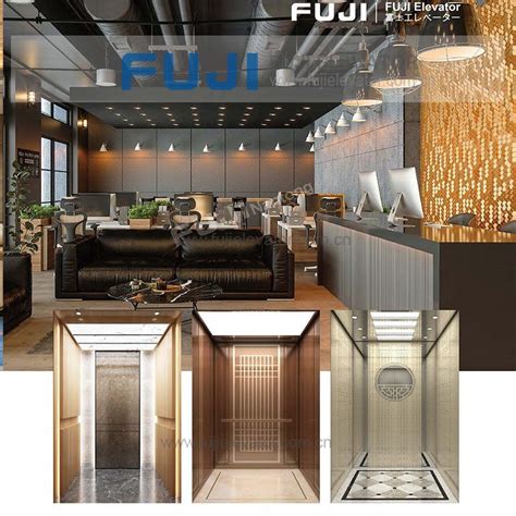 Fuji Passenger Indoor Outdoor Personal Small Villa Home Elevator Passenger Lifts 6 Person And