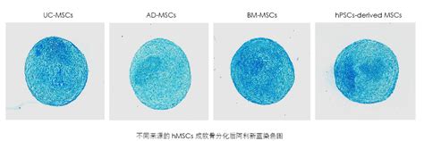 阿利新蓝染色液 北京全式金生物transgen Biotech官方主页