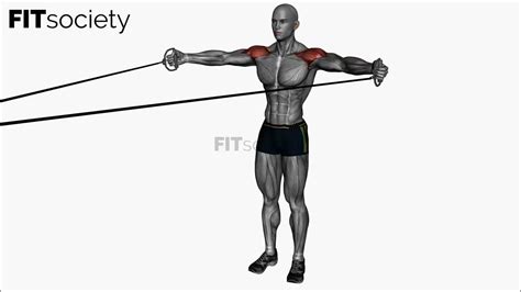 Rear Deltoid Fly Cable Resistance Band Exercise Fitness Oefening