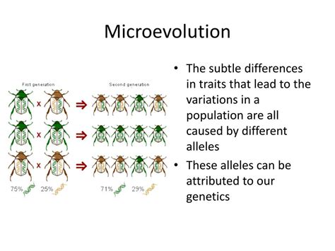 Ppt The Evolution Of Populations Powerpoint Presentation Free