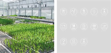 Process Analytics With Optical Sensors Tec5 Ag