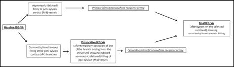 Flow Chart Illustrating The Steps For Intraoperative Identification Of