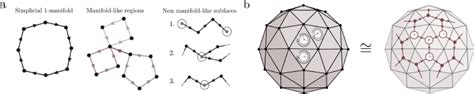 A Unified Framework For Simplicial Kuramoto Models [ Topological