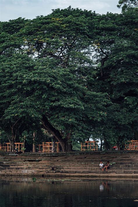 开枝散叶，终究根系故地