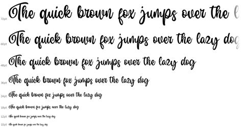 Blantick Script Font By Damarletter Fontriver