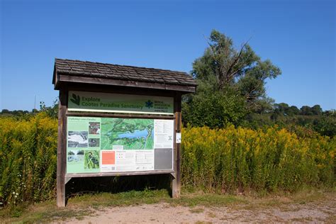 Cootes Paradise Might Be Ontarios Most Underrated Wildlife Sanctuary