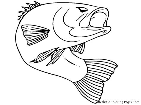 Realistic Fish Coloring Pages At Free Printable