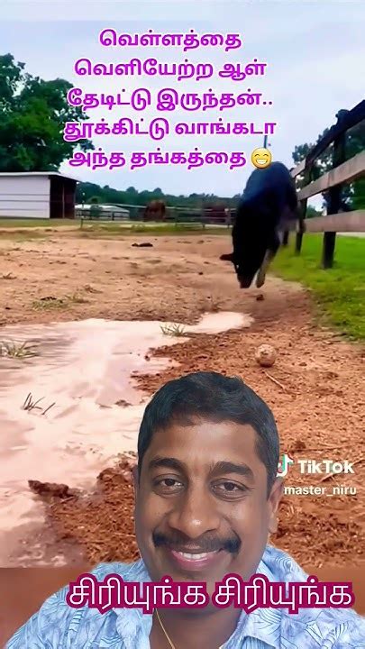 😂😂சிரியுங்க 🐕🐕🐕சிரியுங்க சிரித்துக்கொண்டே இருங்க Funny Dog சிரிக்க