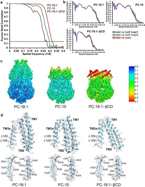 Fsc Curves Local Resolution Maps And Local Densities A Fsc Curves
