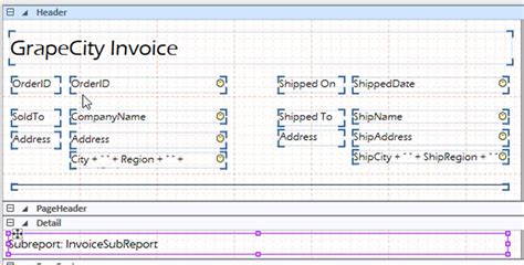 Using Parameters And Multiple Data Sources In Flexreport Componentone