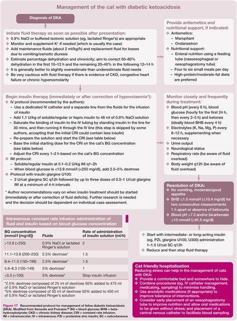 Dka Signs And Symptoms Cat