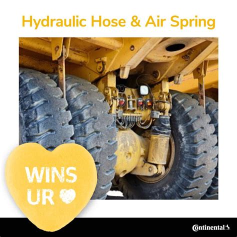 Continental Anthony Digiacobbe