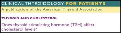 Thyroid And Cholesterol Does Tsh Affect Cholesterol Levels Important Numbers You Need To Know