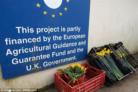 Inside The Cornish Slave Flower Farm Raided By Police Daily Mail Online