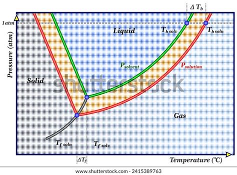 Boiling Point Elevation Phenomenon That Occurs Stock Vector Royalty