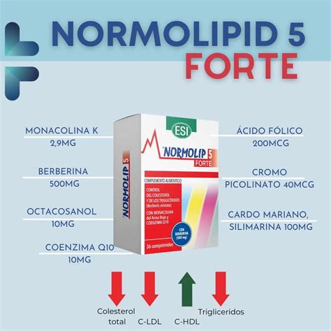 Farmacia Pérez El Colesterol Es El Principal Esteroide