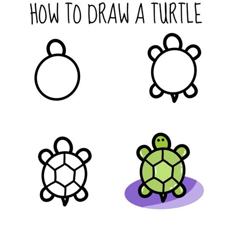 How To Draw A Turtle In 10 Easy Steps Artofit