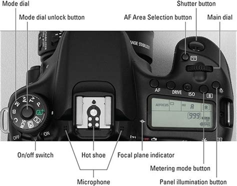 Guide To Buttons On Canon Dslr 70d Camera Dslr Photography Tips