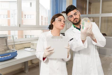 Scientists In Laboratory With Chemicals Testing Virus Vaccinatio Stock