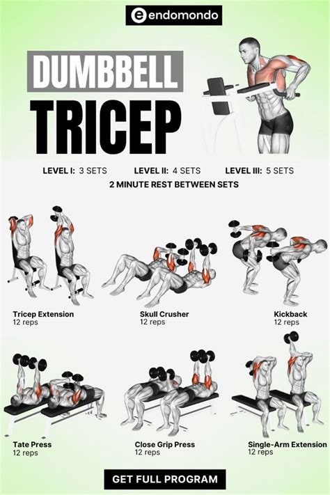 Define Your Arms Dumbbell Triceps Workout For Strength Rutinas De