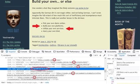 Vox Day Build Your Own Platforms Using Wordpress Rgammasecretkings