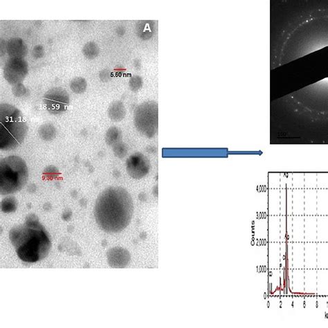 Transmission Electron Micrograph A Selected Area Electron