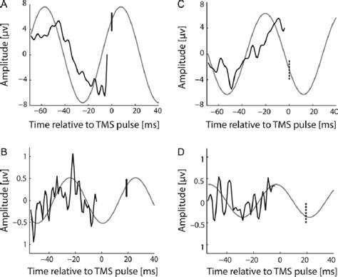 Synaptic Input Is Most Effective When It Arrives At The Rising Phase Of