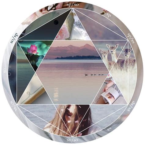 Subtypes By Istjhedonist Mbti Community Amino