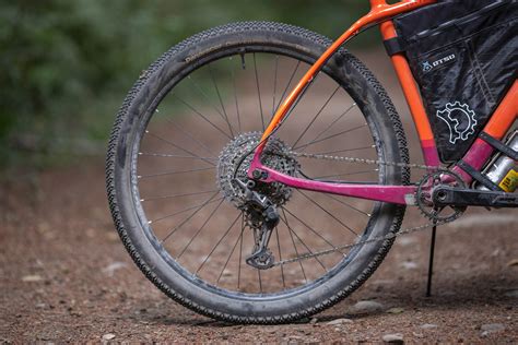 Otso Voytek Review Shapeshifter