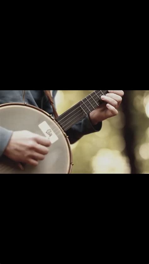 can anyone identify this banjo r banjo