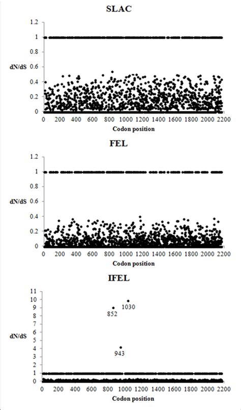 Detection Of Selection Pressures On Complete Coding Sequences Of Download Scientific Diagram