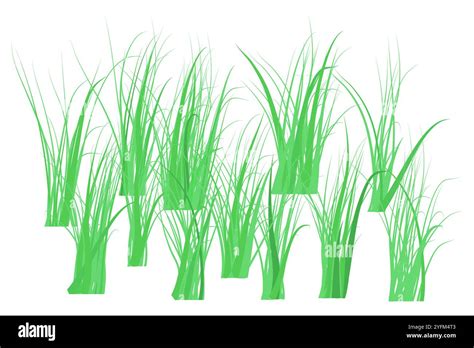 Decorative Front Yard Stock Vector Images Alamy