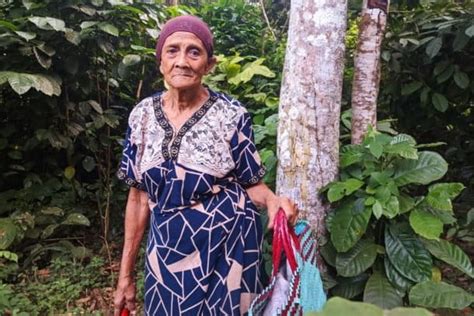 Pioneer Agroforester Ermi 73 Rolls Back The Years In Indonesias